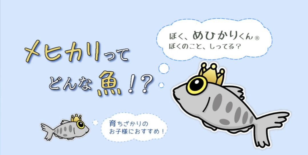イベント「メヒカリの変態現る！メヒカリと未利用魚の熱いイベント」 | evawat